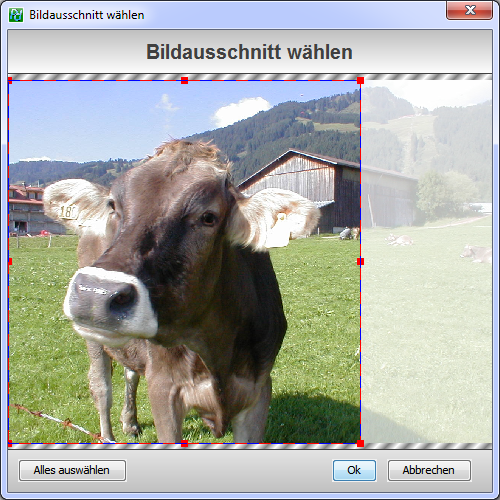 Picture-Designer: Bildausschnitt